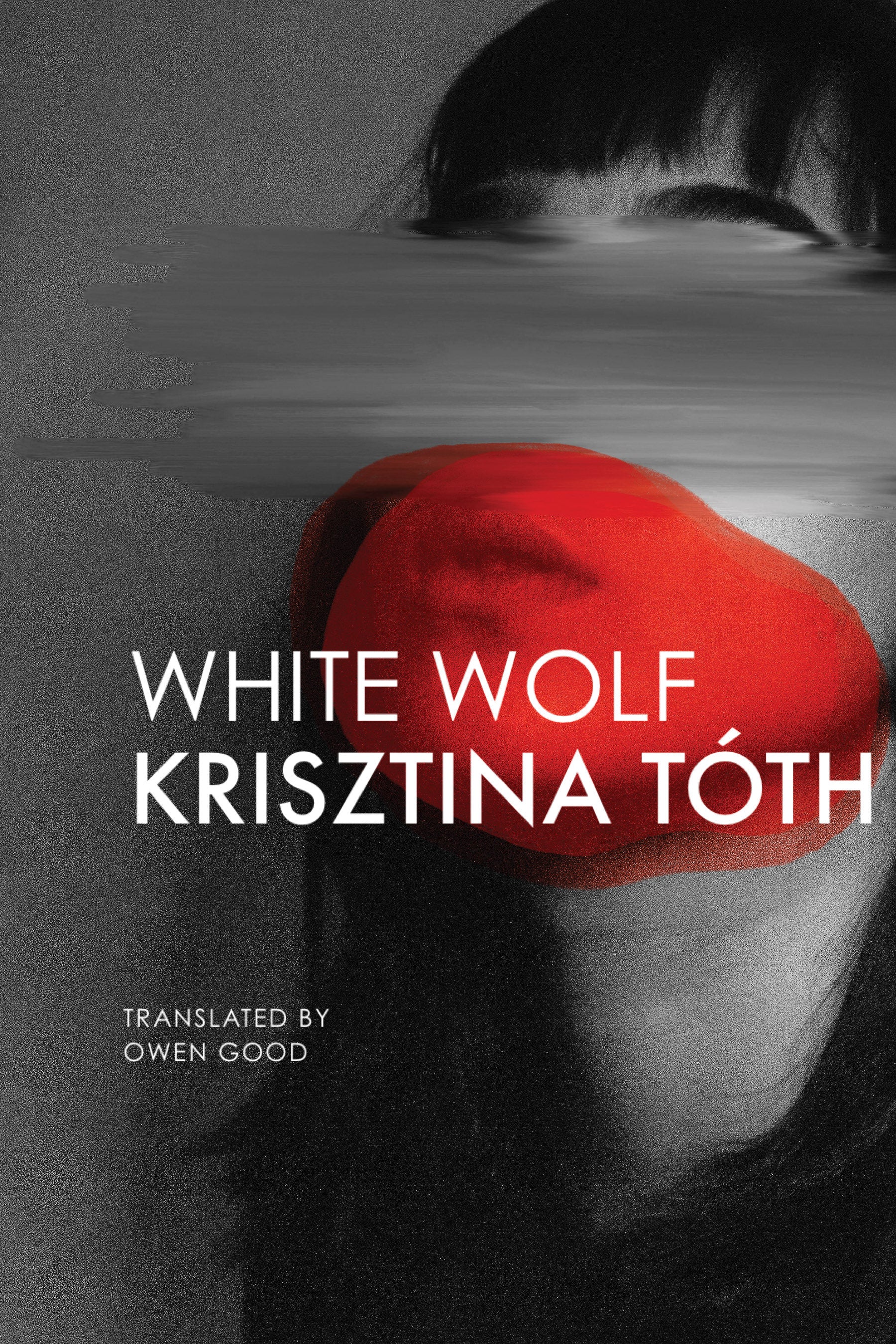 White Wolf by Krisztina Tóth | Seagull Books